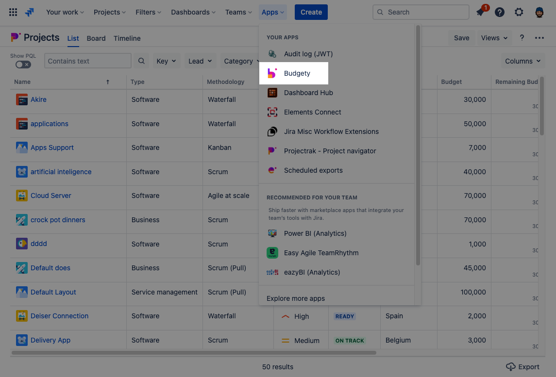 Project budget in Jira. How, When, and Where?